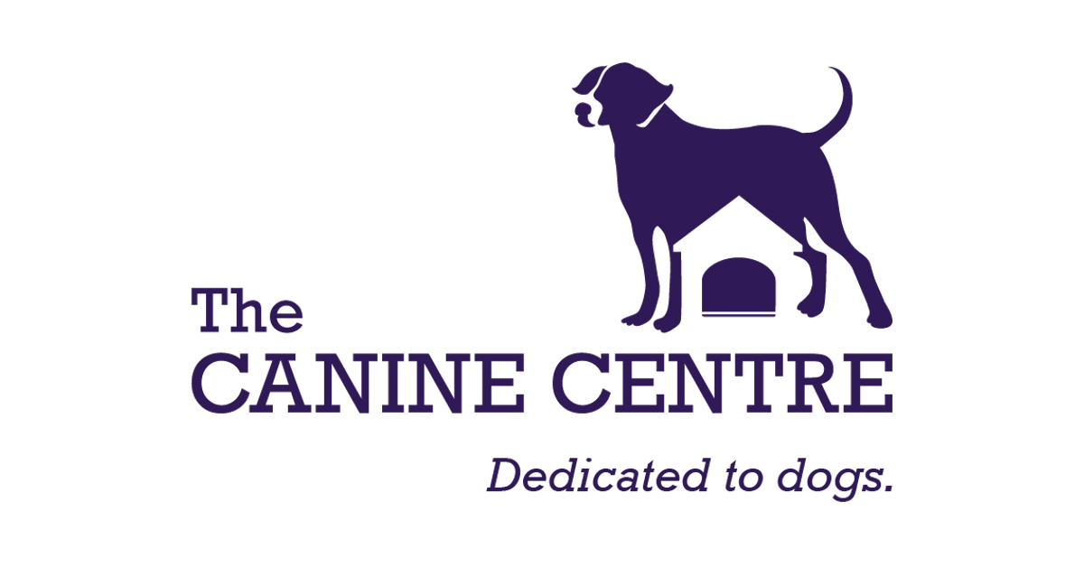 Dog Day Care – The Canine Centre